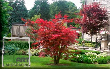 Softscape Image Gallery | GardenArt Landscaping